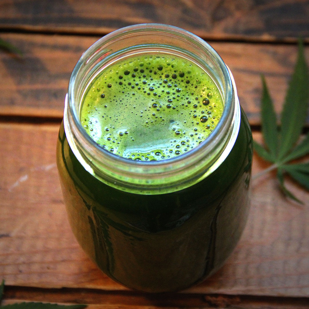 Cannabis Juice + A Green Smoothie Recipe – Holistic Tara